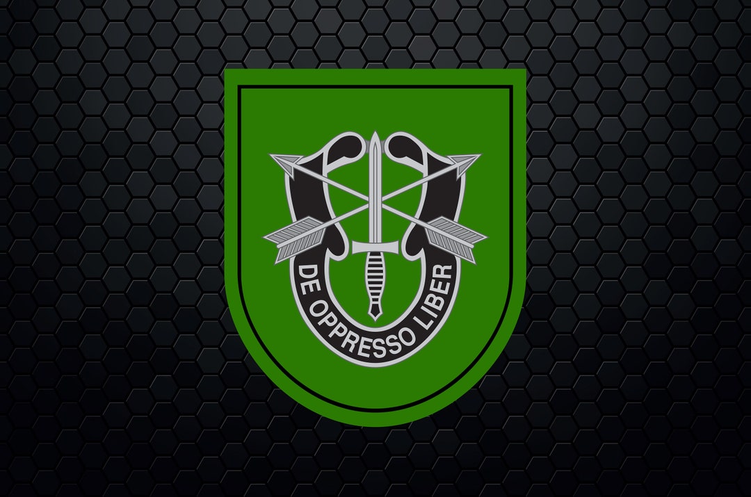 US Army 10th Special Forces Group (10th SFG) - Beret Flash Patch Logo ...