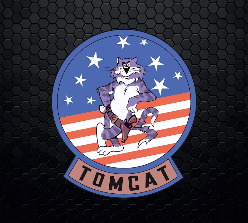 F-14 Tomcat Military Fighter Jet Patch Logo Decal Emblem - Etsy