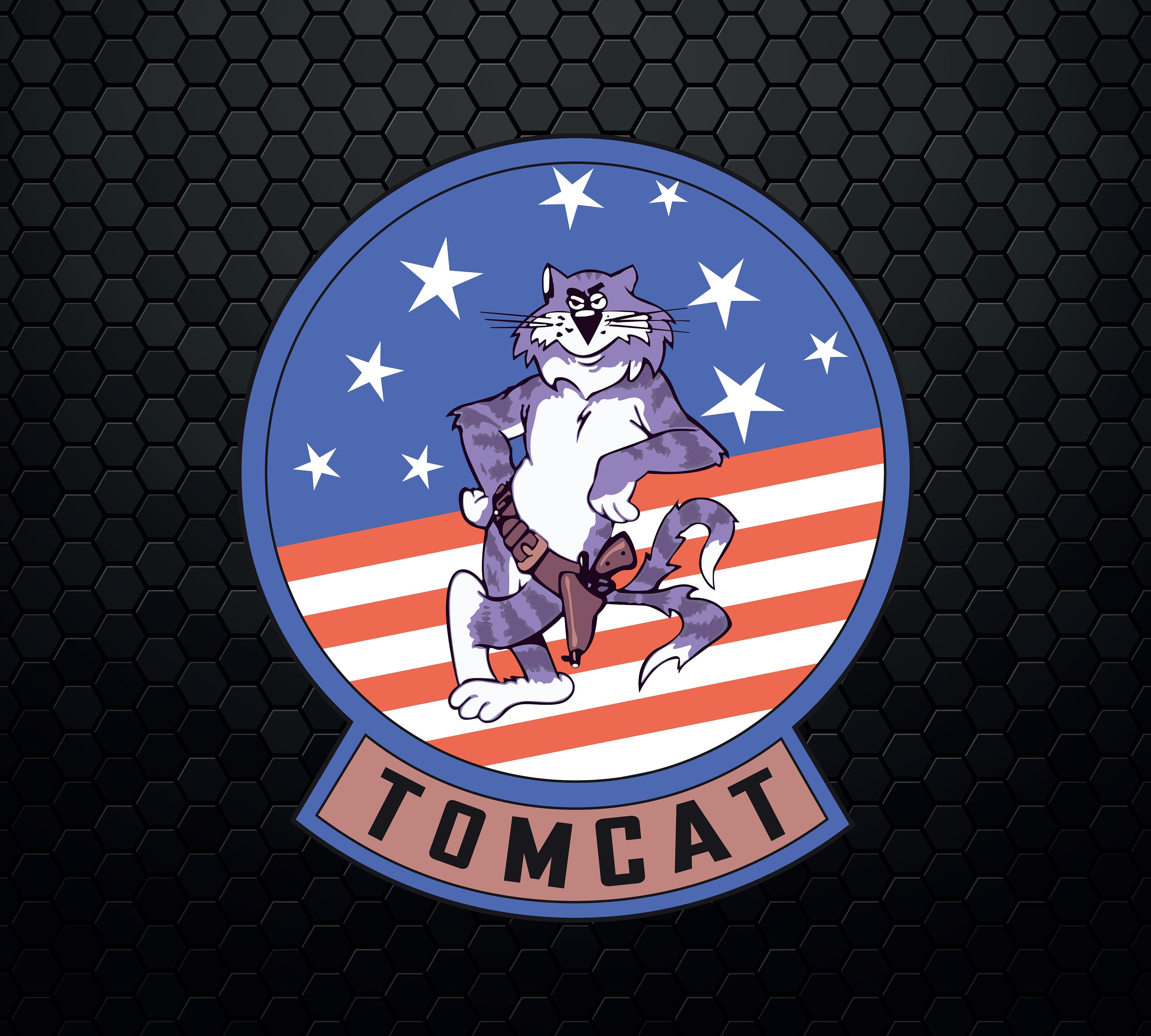 F 14 Tomcat Military Fighter Jet Patch Logo Decal Emblem Etsy