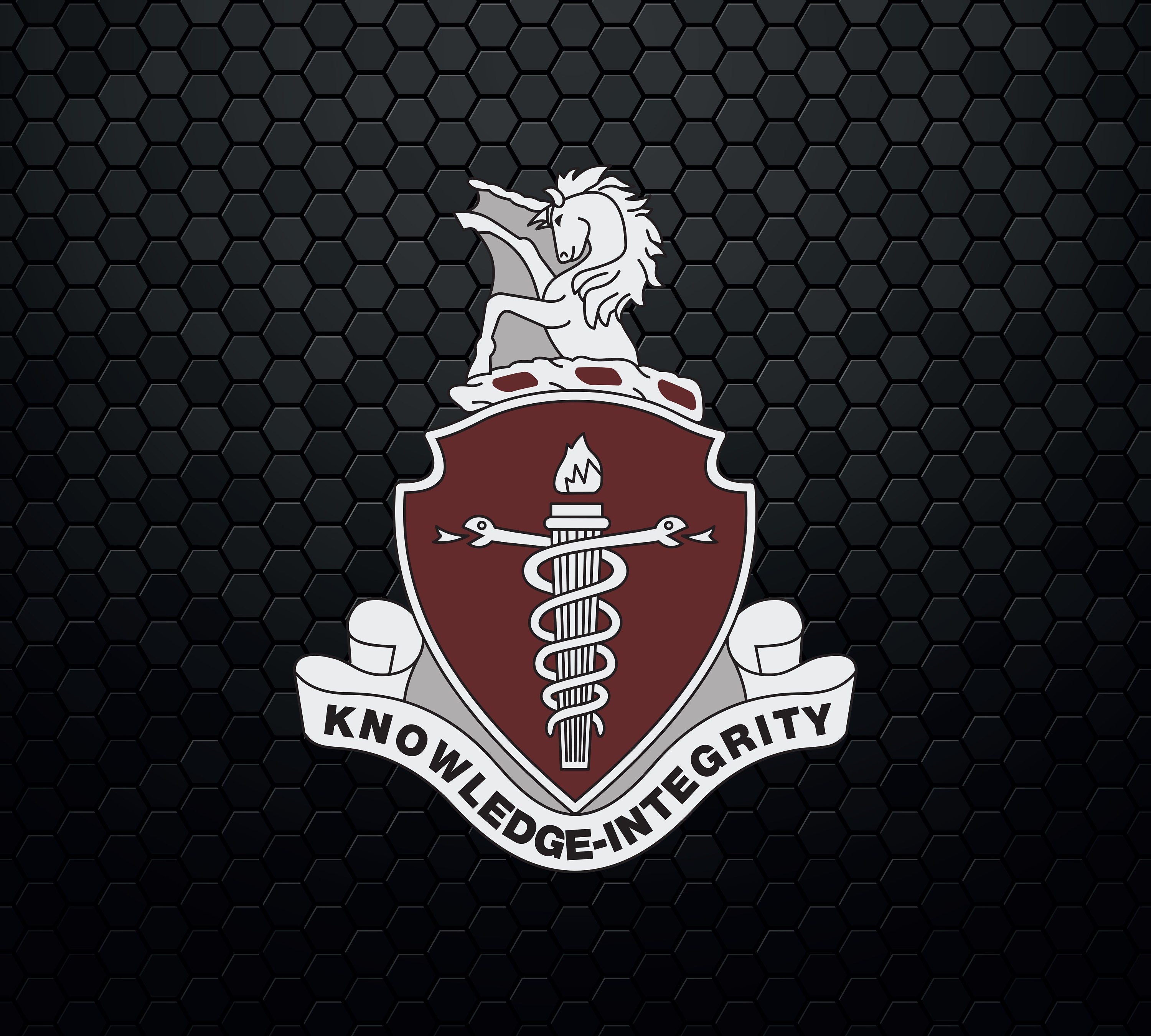 U.S. Army Veterinary Corps Command Patch Logo Decal Emblem - Etsy