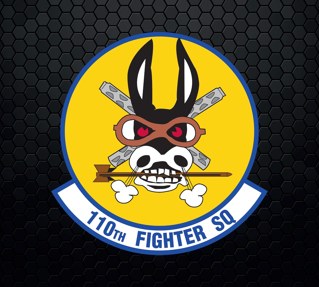 USAF 110th Fighter Squadron - Air Force 110th FS - Logo Decal Emblem ...