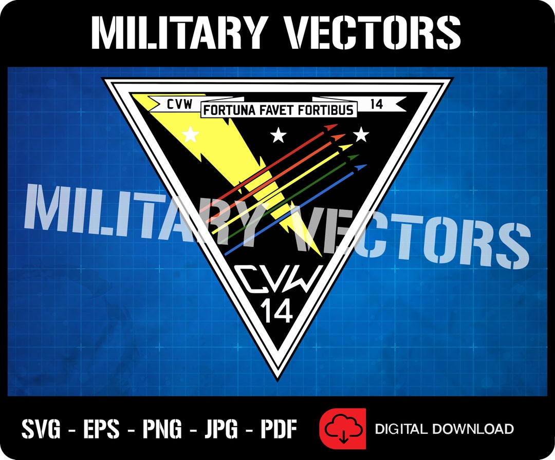 Carrier Air Wing Fourteen (CVW-14) - U.S. Navy Aircraft Carrier - Patch ...