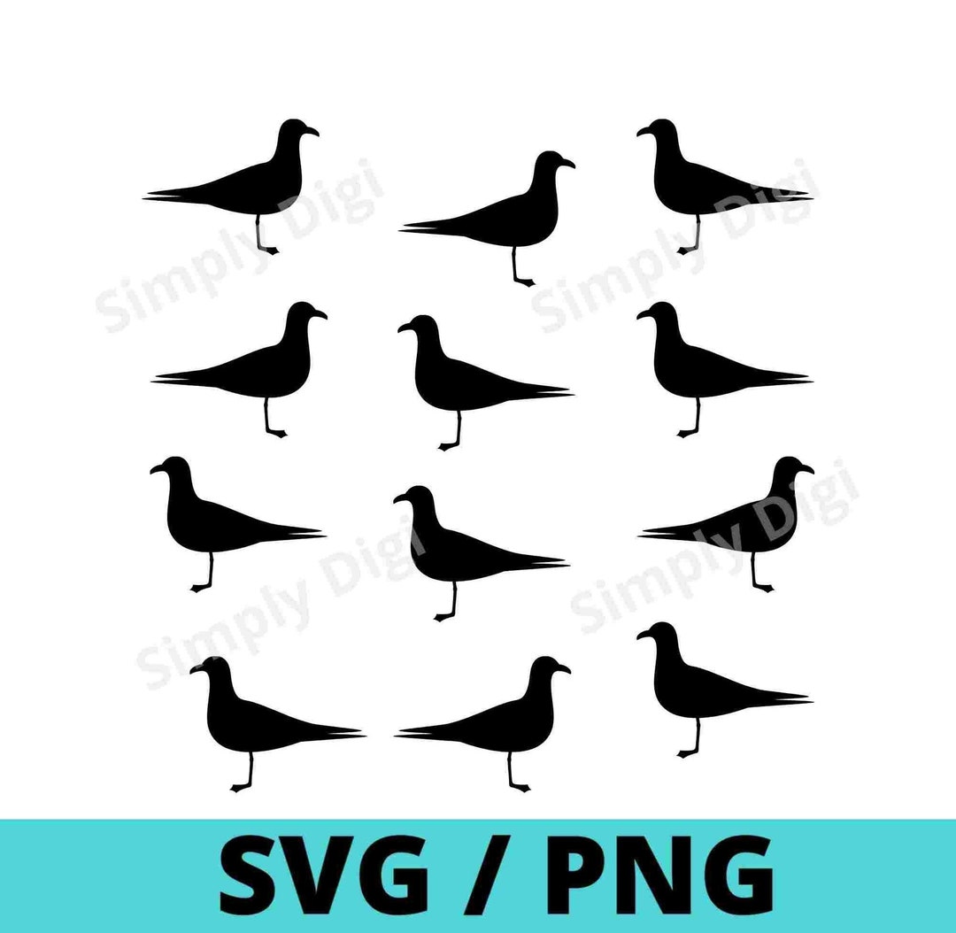 Birds Bird Seagull Seagulls Beach Wings Wing Animal SVG PNG Digital ...