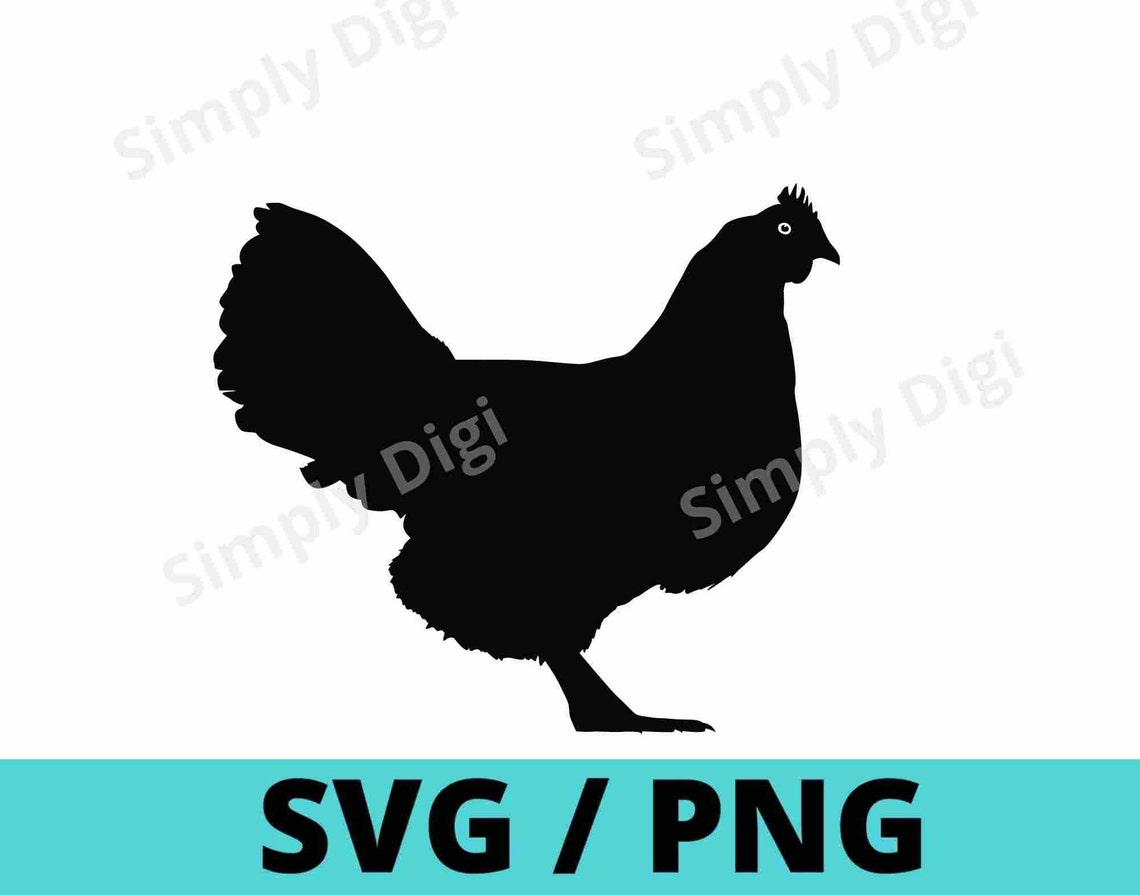 Chook Chicken SVG PNG Farm Hen Hens Rooster Animal Shape - Etsy