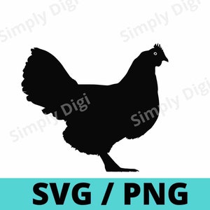 Chook Chicken SVG PNG Farm Hen Hens Rooster Animal Shape Shapes Animals ...