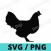 Chook Chicken SVG PNG Farm Hen Hens Rooster Animal Shape - Etsy