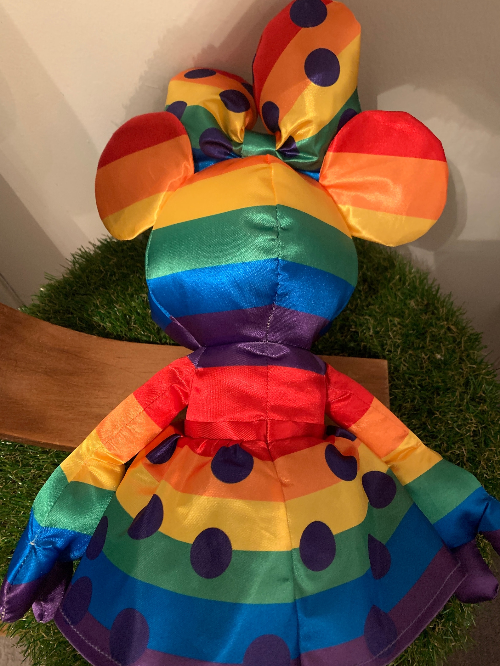 Personalied Pride Minnie Mouse - Etsy