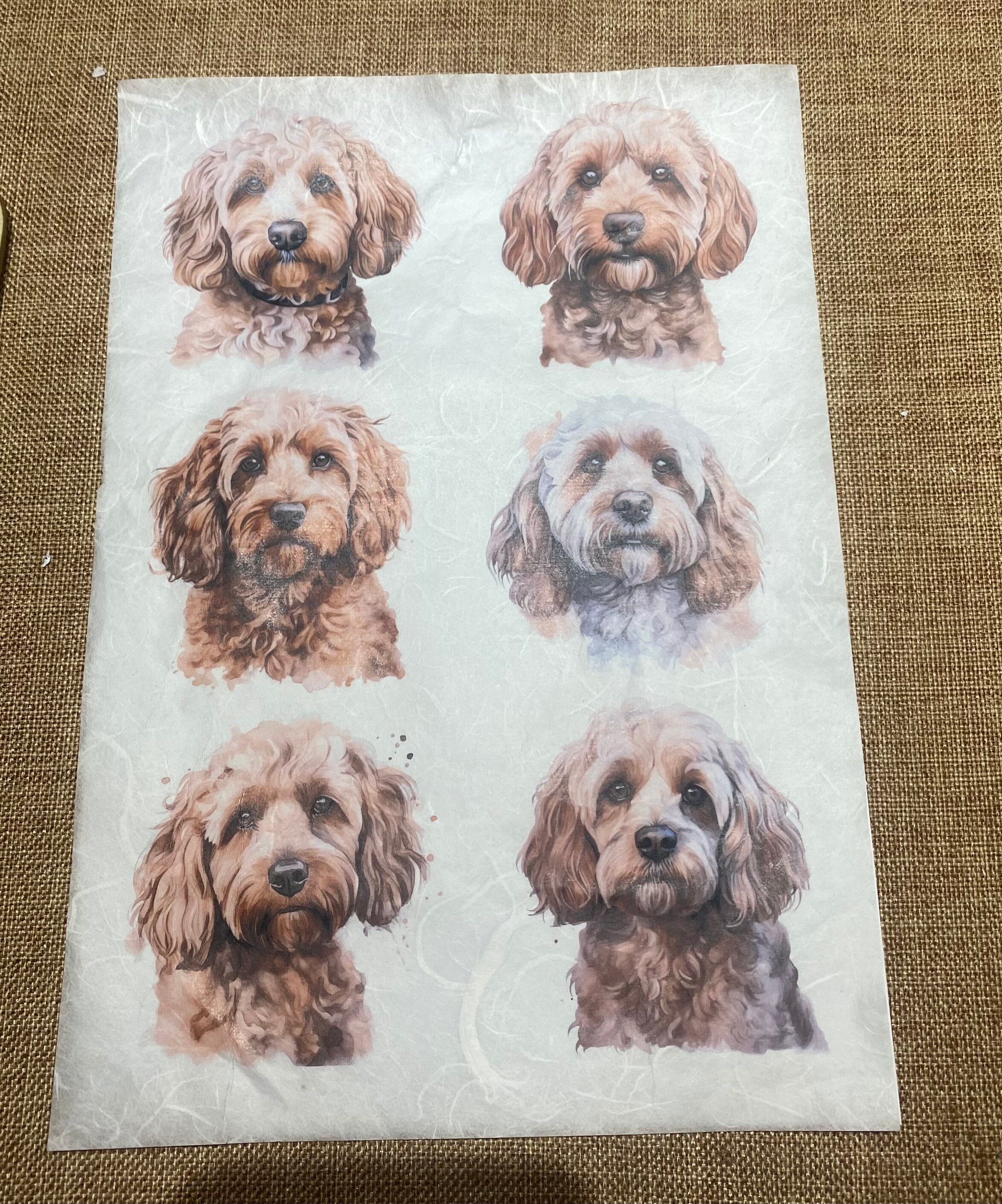 Cockapoo Laser Printed Rice Paper 6 Images per Sheet - Etsy UK
