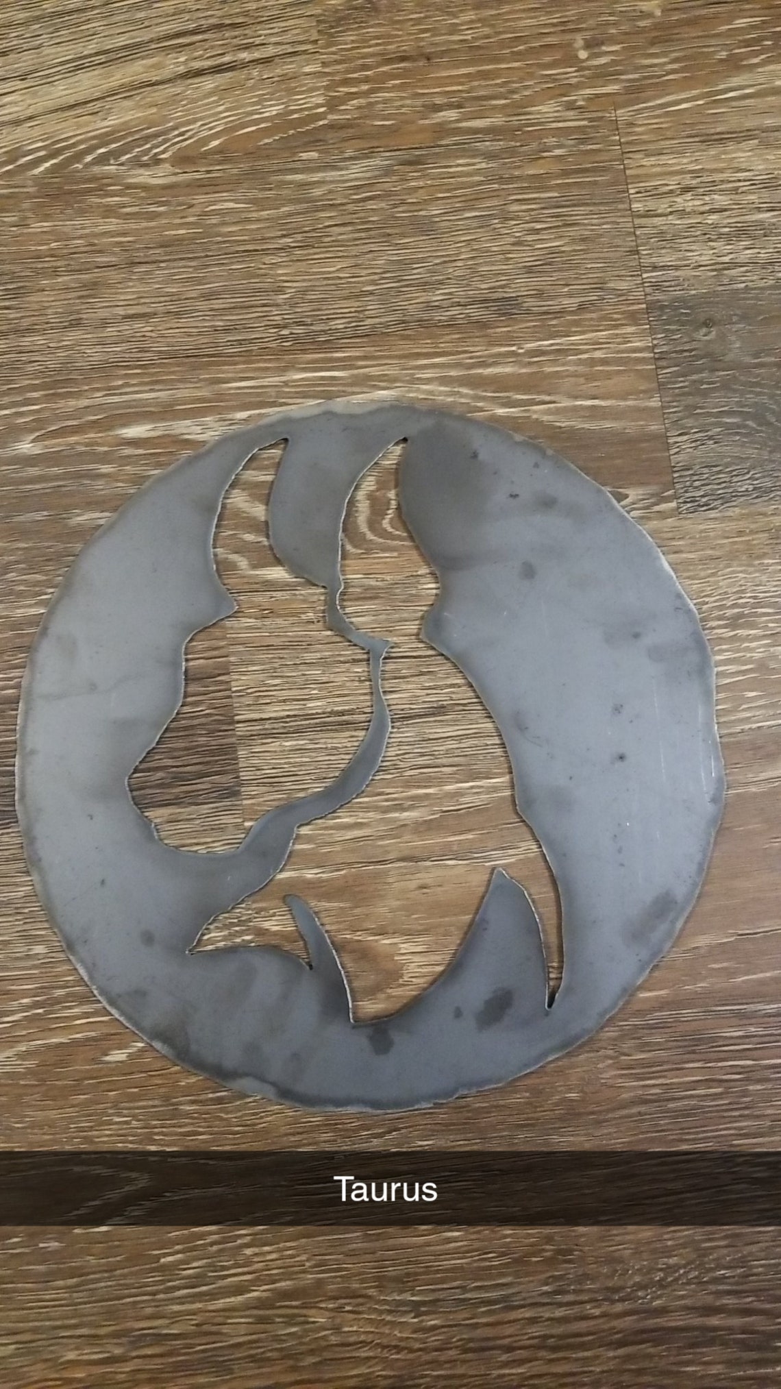 12" Steel Zodiac Signs - Etsy
