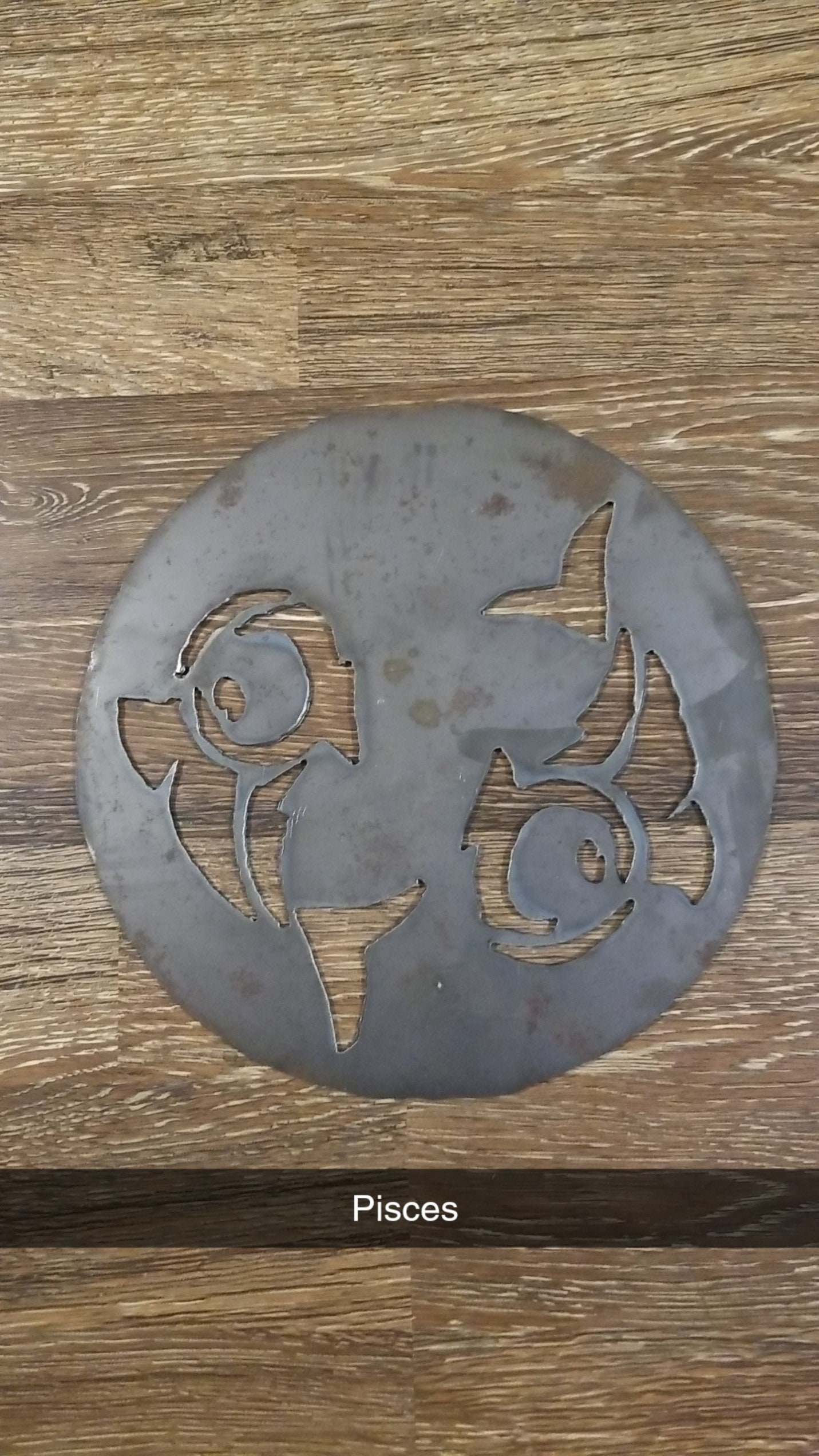 12" Steel Zodiac Signs - Etsy