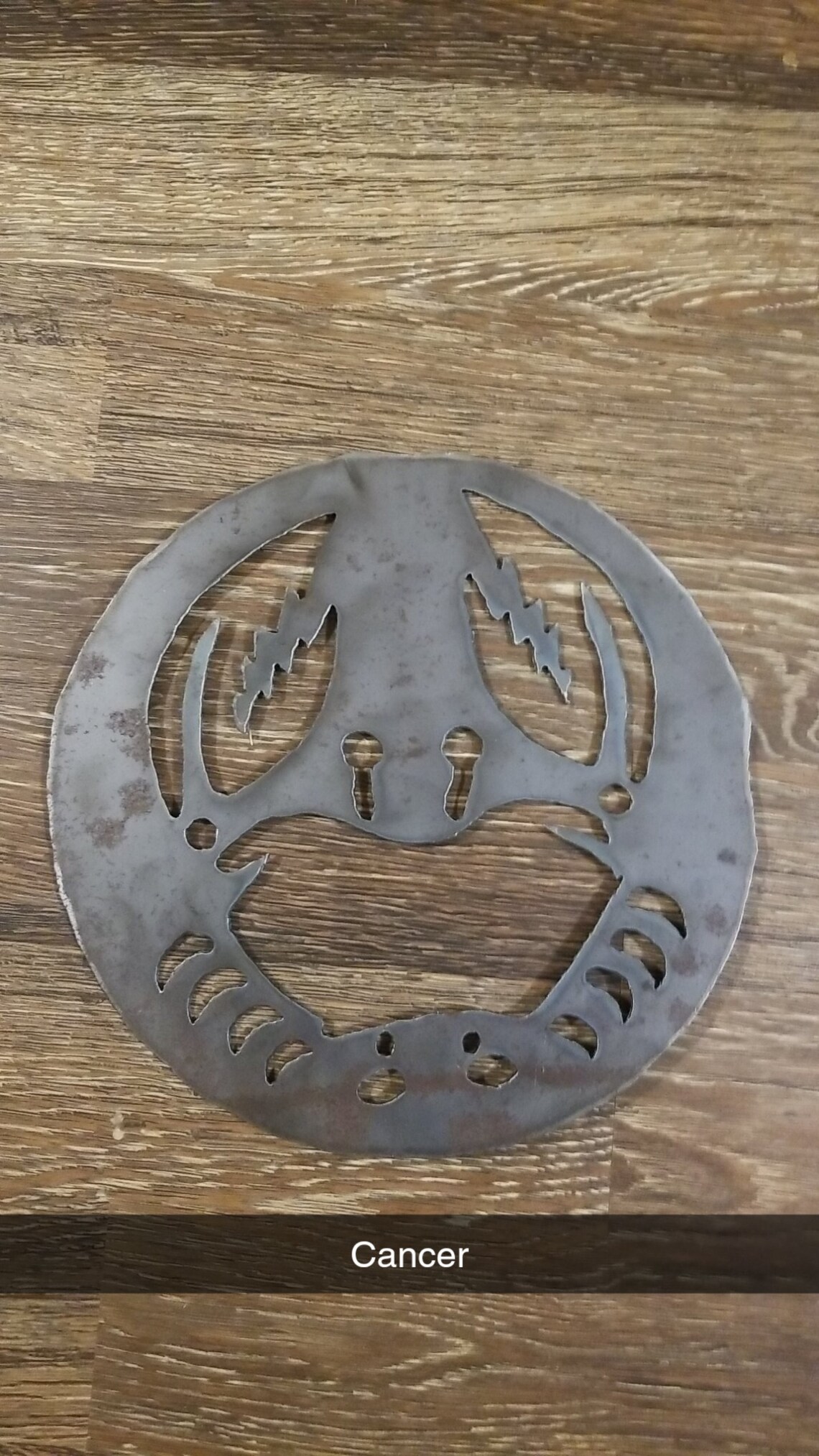 12" Steel Zodiac Signs - Etsy