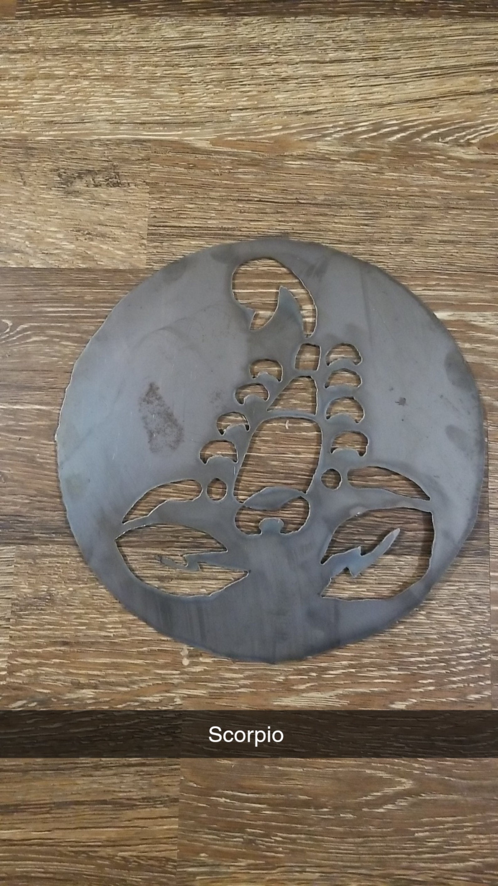 12" Steel Zodiac Signs - Etsy