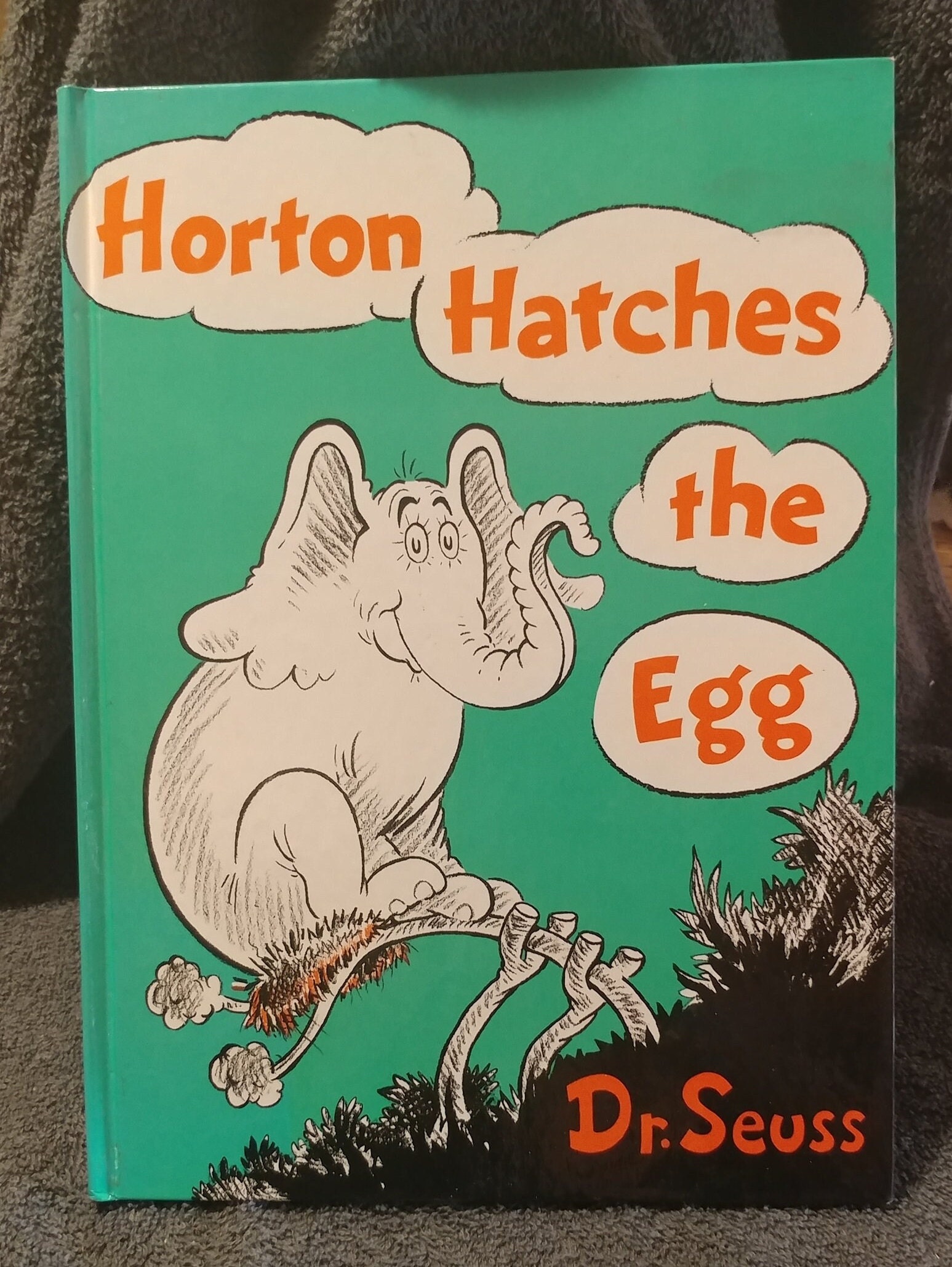 Dr Seuss Horton Hatches The Egg