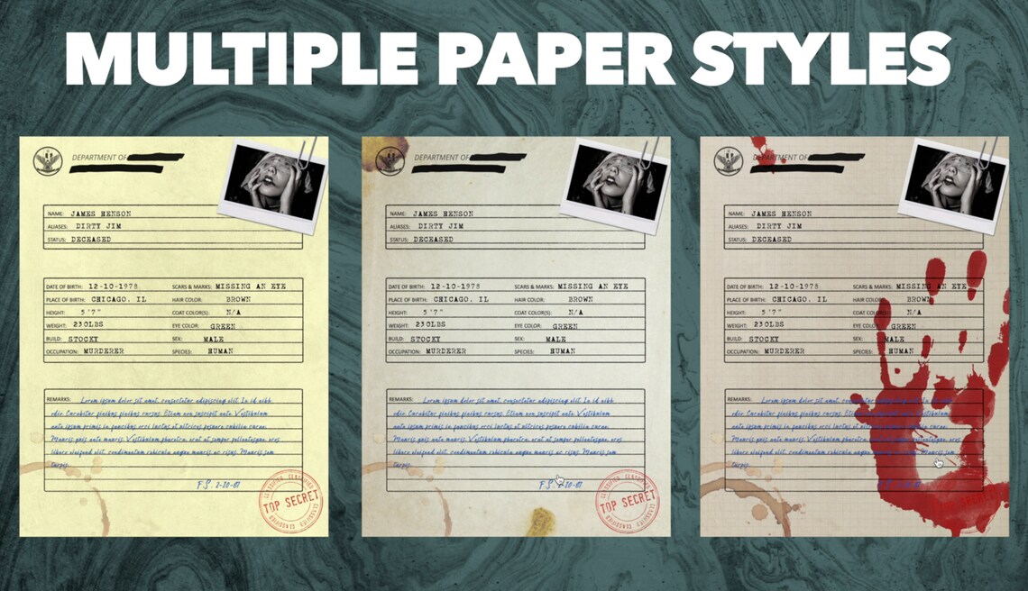 Editable Dossier Template No Software Required Edit in - Etsy
