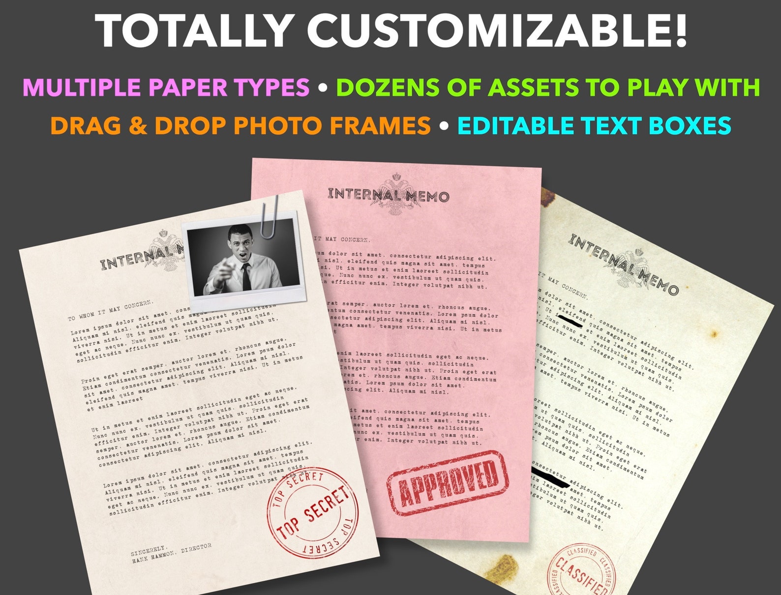 Editable Dossier Template Distressed Document Prop Top - Etsy