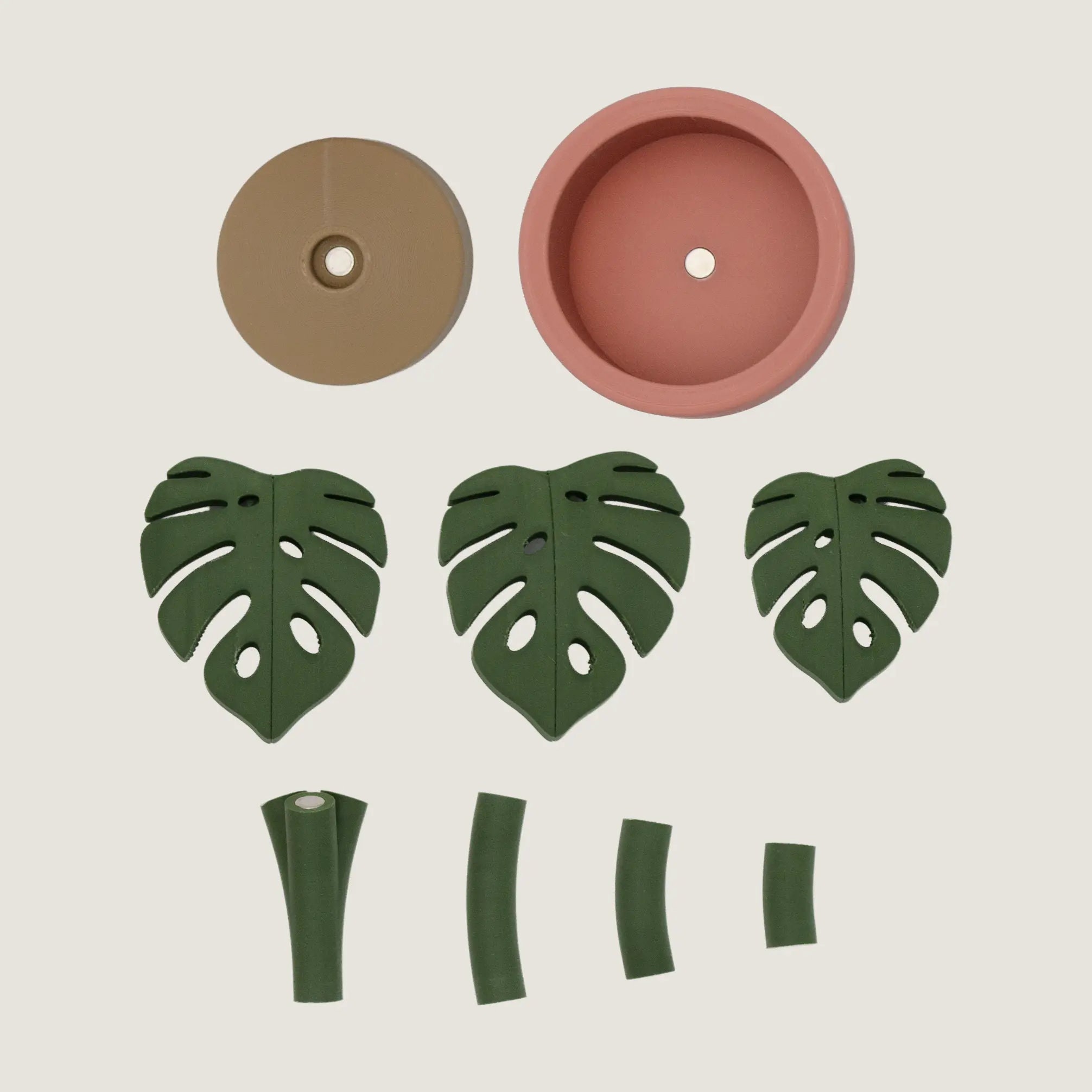 Build A Plant: Monstera Magnetic Model Building Kit - Etsy