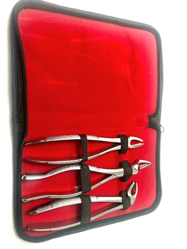 Extraction Forcep for Animals Set of Three Extracting - Etsy