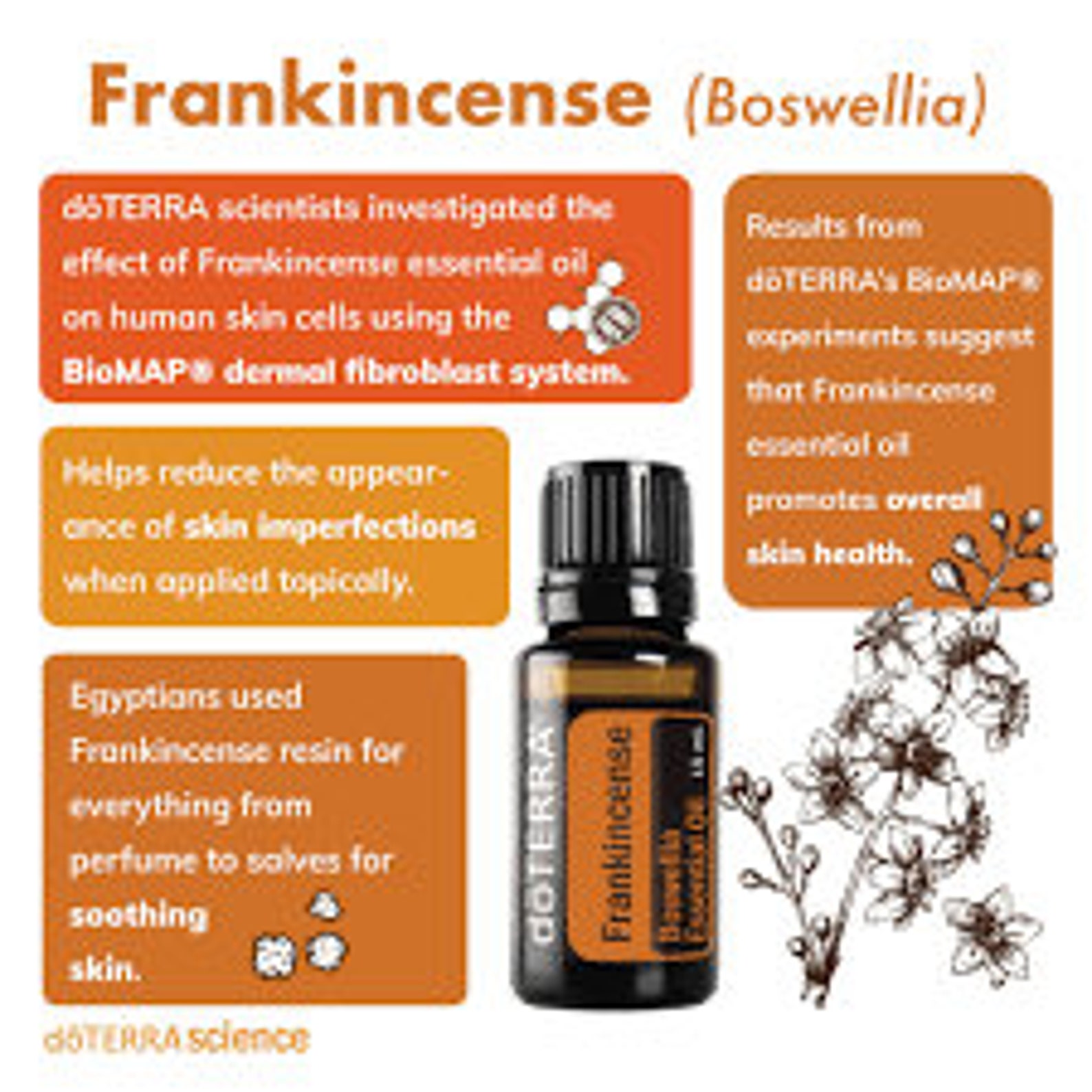 DoTERRA Frankincense Oil | Etsy