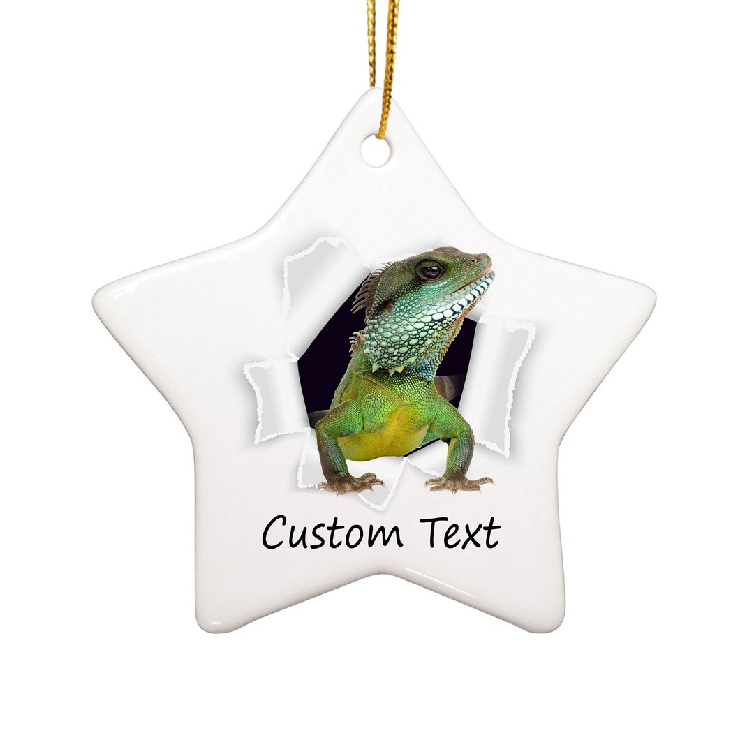 Personalized Name Bearded Dragon Ornaments for Christmas Tree 2021 Cute ...