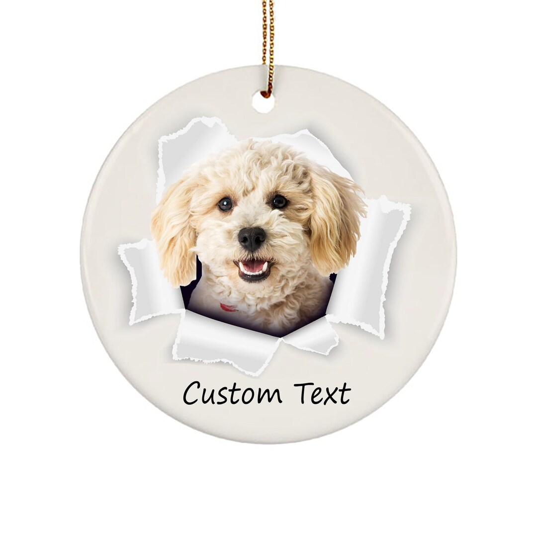 Personalized Name Cavapoo Ornaments for Christmas Tree 2021 - Cavapoo ...
