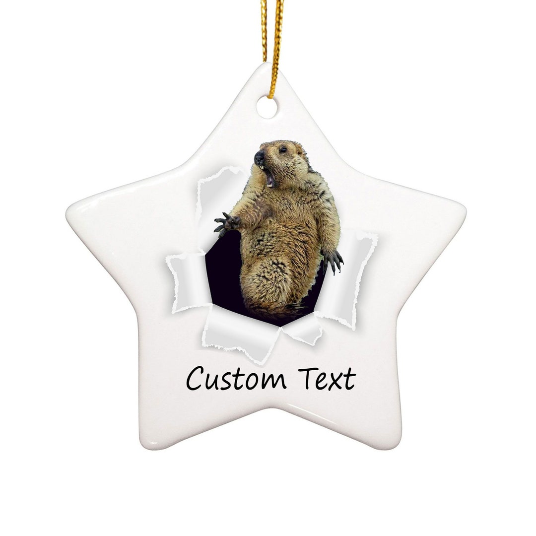 Personalized Name Groundhog Ornaments for Christmas Tree - Groundhog ...