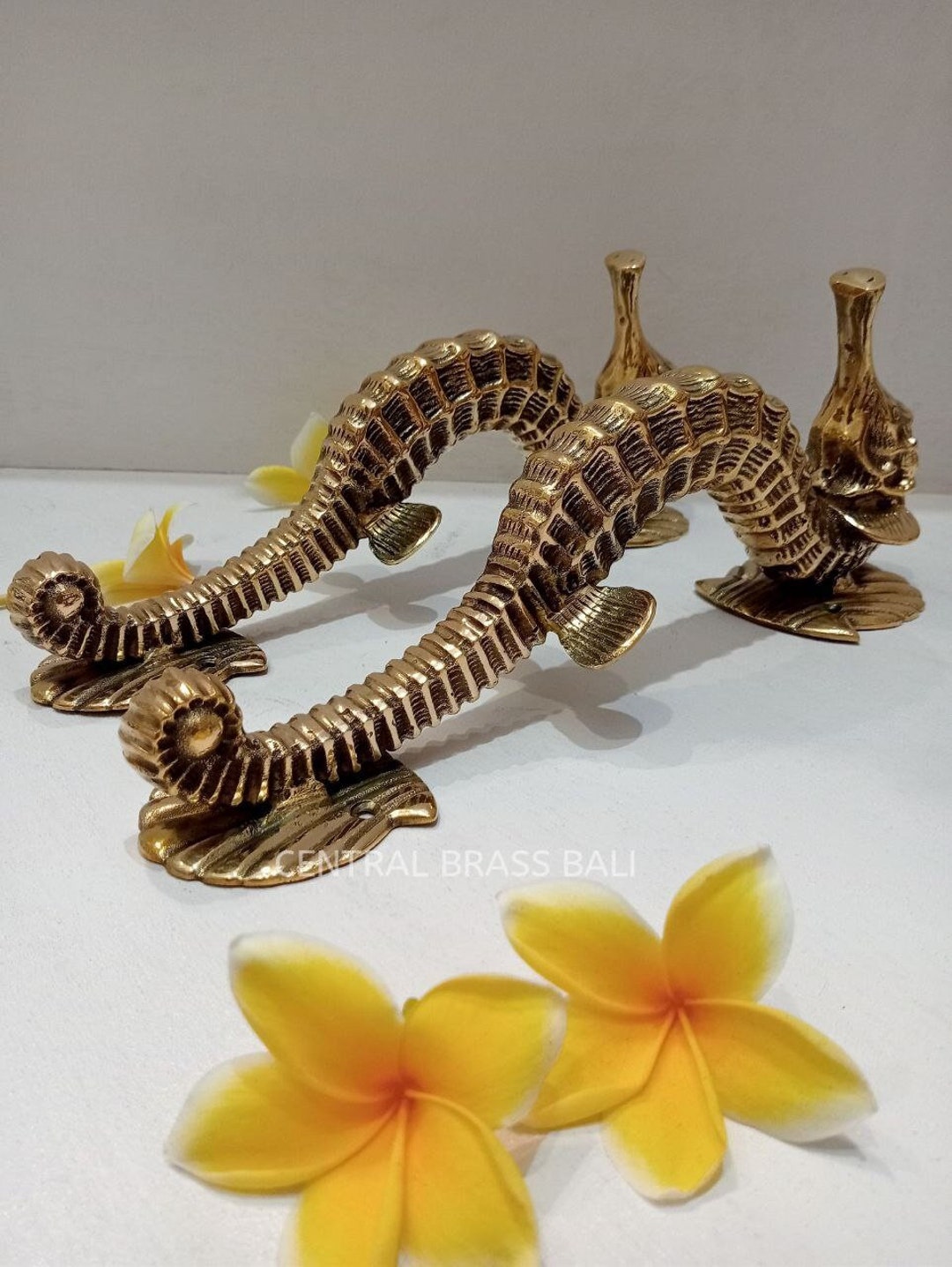 12" Pair Main Entry SEAHORSE Handles, Seahorse Brass Door Handles ...