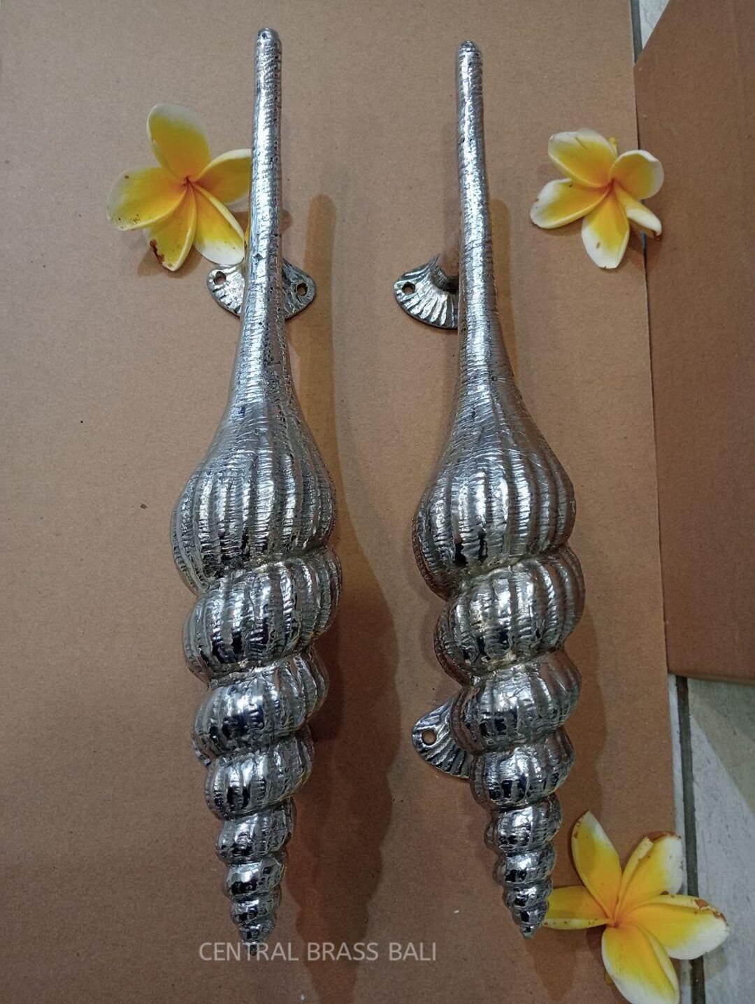 13.77" Inch Silver Long Large SHELL Shape Curvy Seaside Brass Polished ...