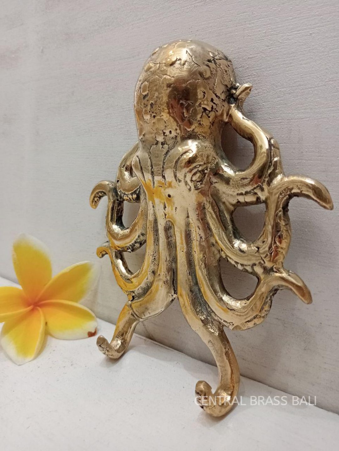 Set of 3pcs Brass Octopus Coat Hooks, Nautical Wall Decor (TARRIF PAID ...