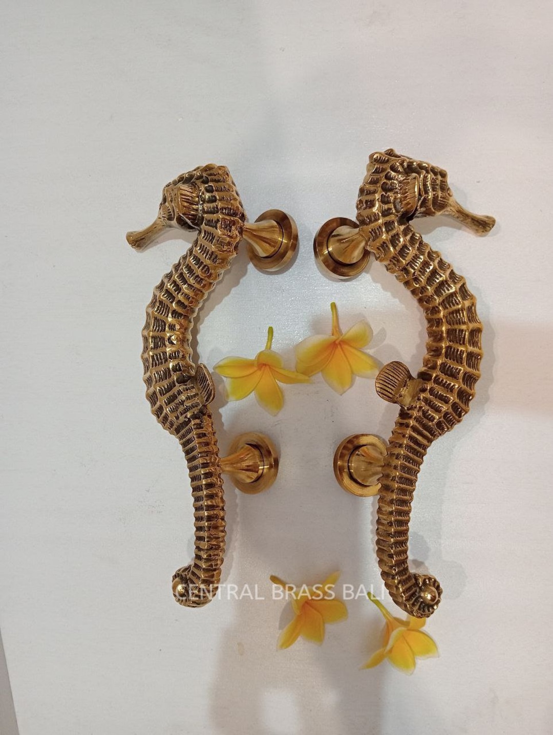 12 Pair Main Entry SEAHORSE Handles, Seahorse Brass Door Handles ...