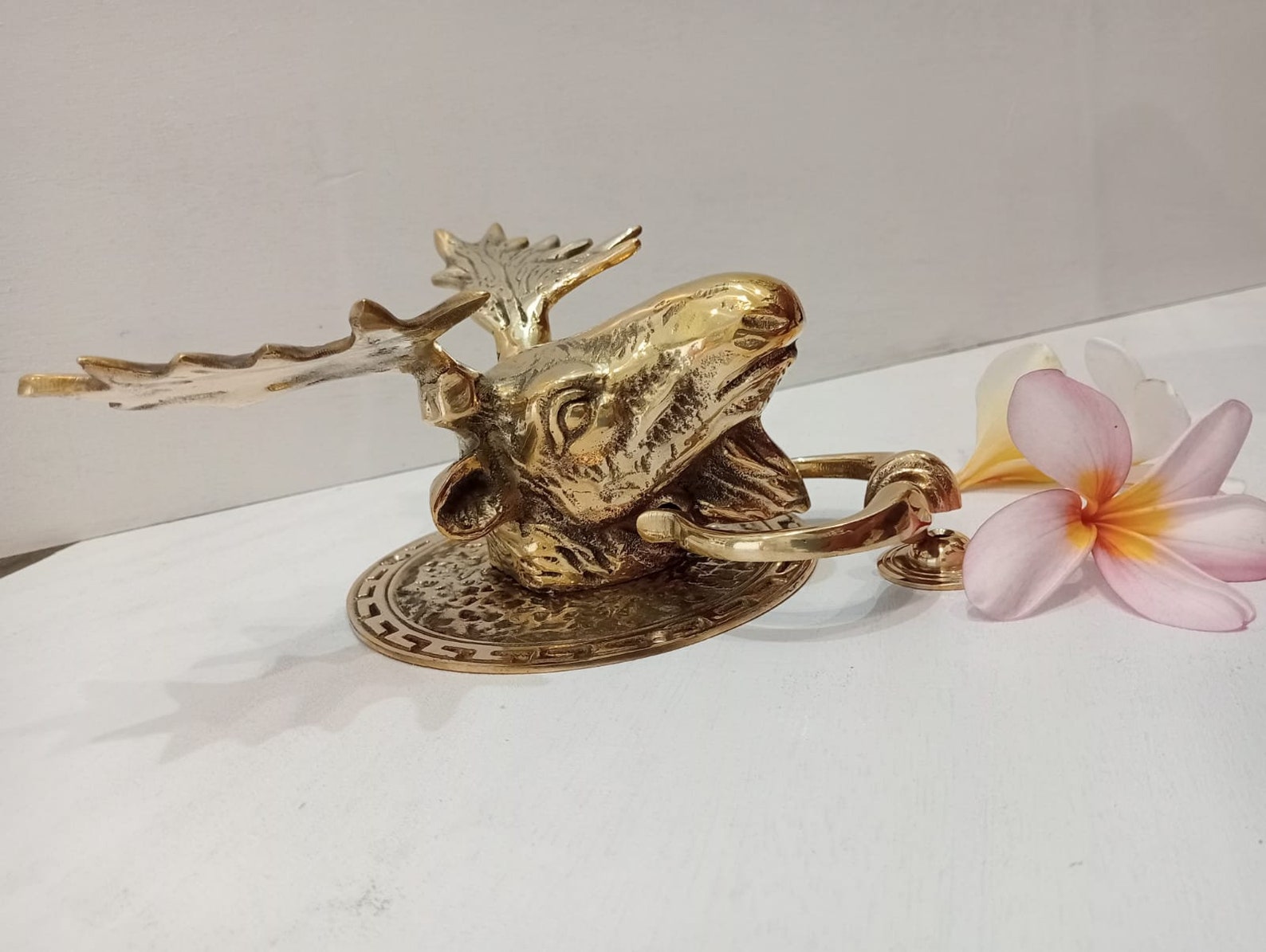 Large Brass Moose Door Knocker | Brass Gold Rustic Home Decor (7.87 ...