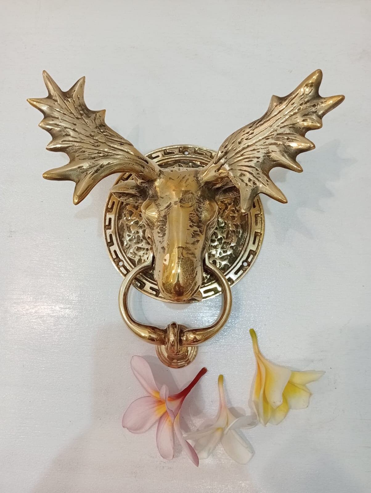 Large Brass Moose Door Knocker | Brass Gold Rustic Home Decor (7.87 ...