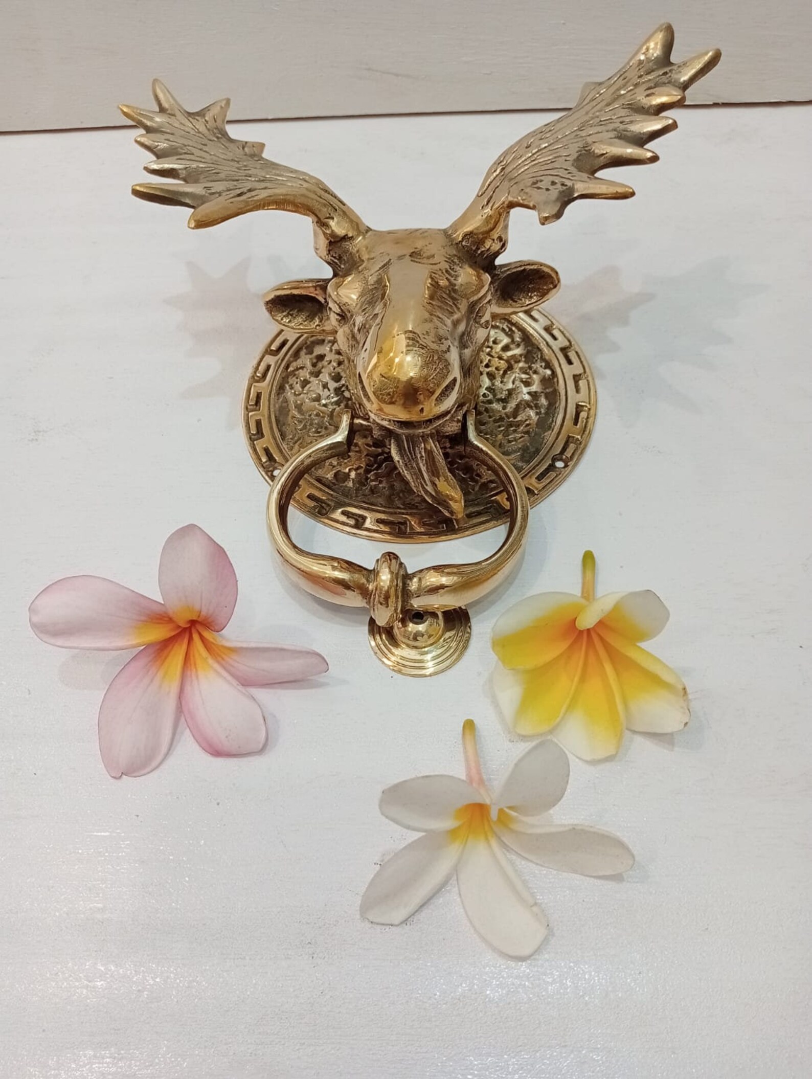 Large Brass Moose Door Knocker | Brass Gold Rustic Home Decor (7.87 ...