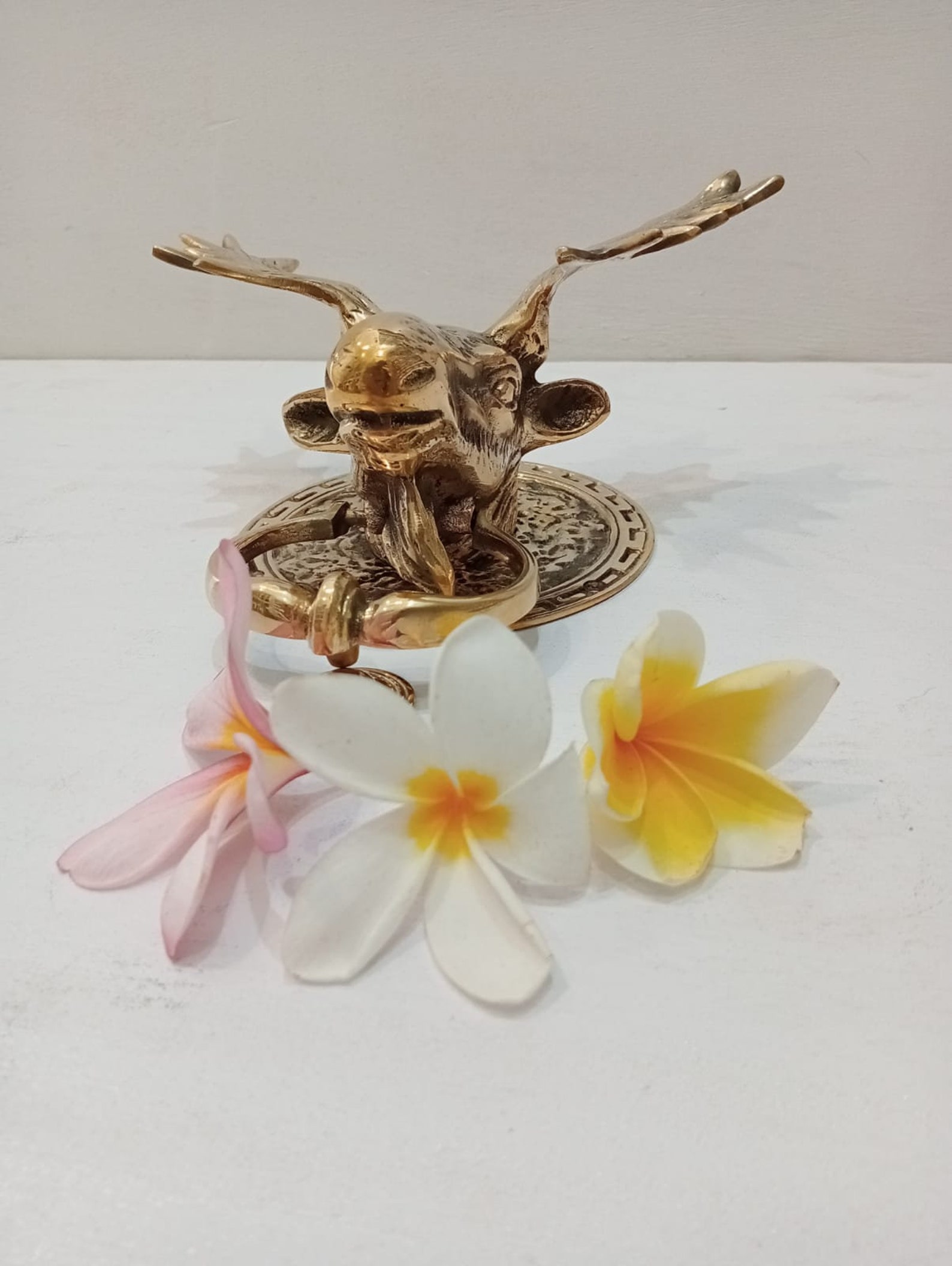 Large Brass Moose Door Knocker | Brass Gold Rustic Home Decor (7.87 ...