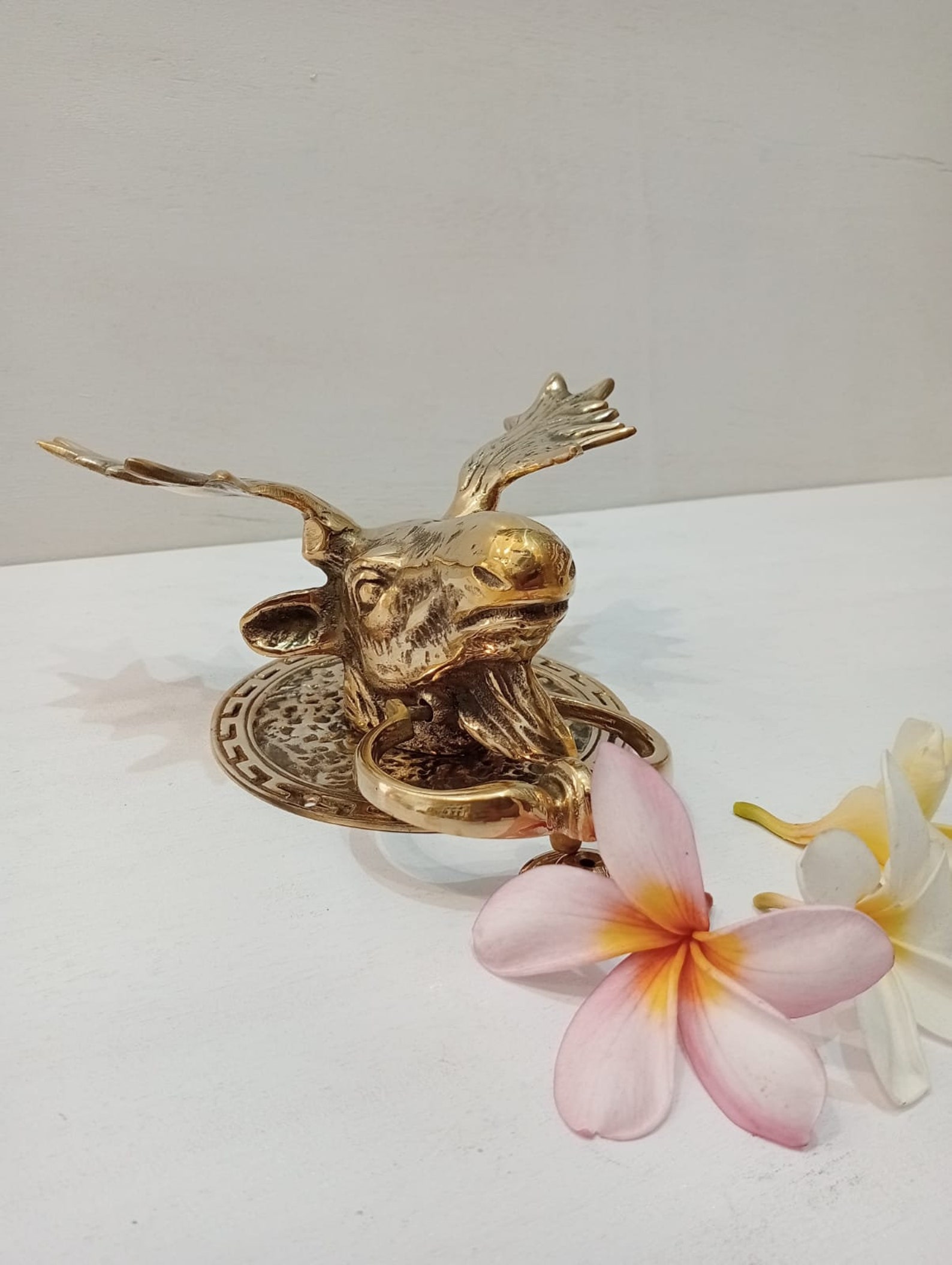 Large Brass Moose Door Knocker | Brass Gold Rustic Home Decor (7.87 ...
