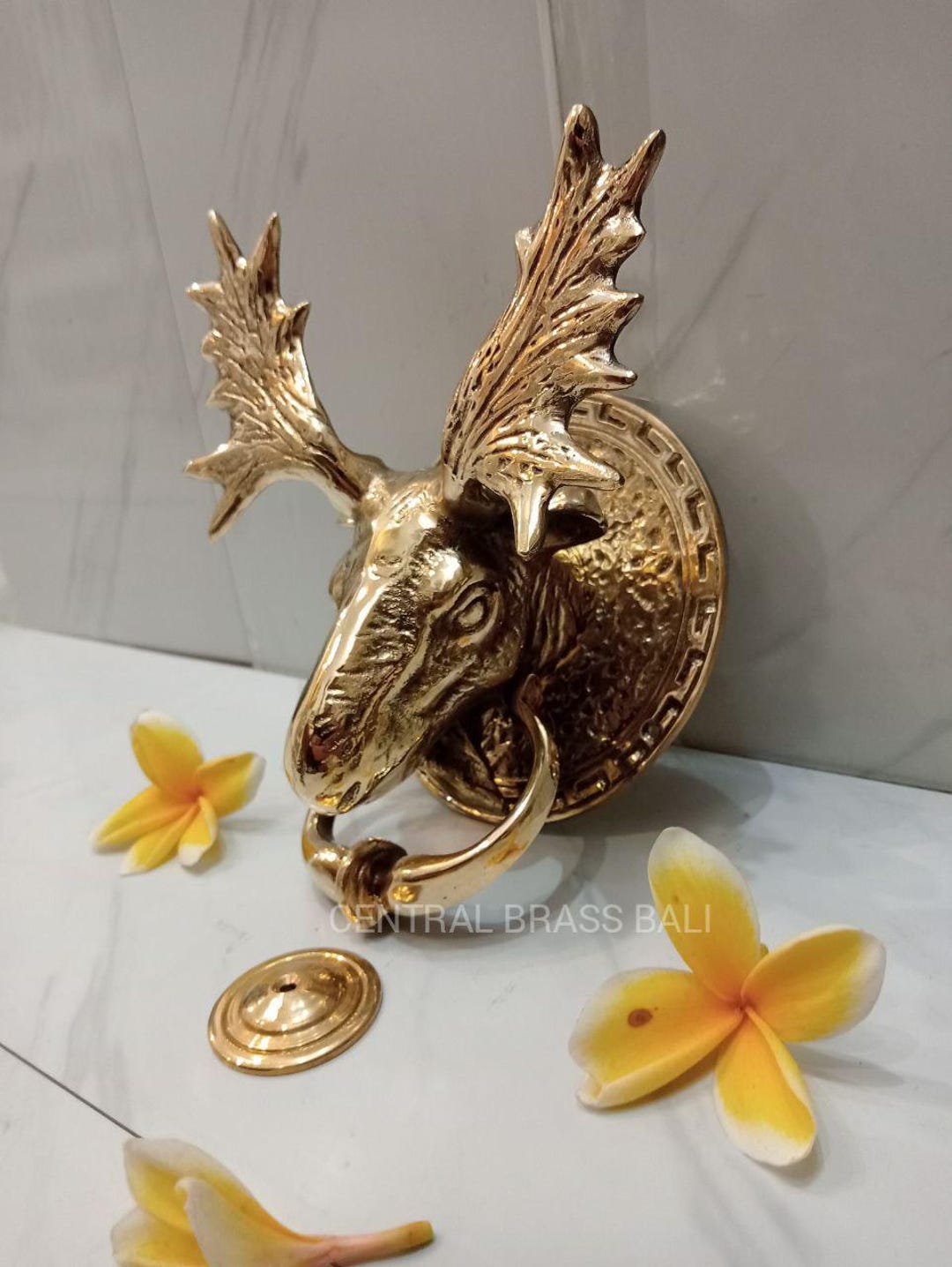 Large Brass Moose Door Knocker | Brass Gold Rustic Home Decor (7.87 ...