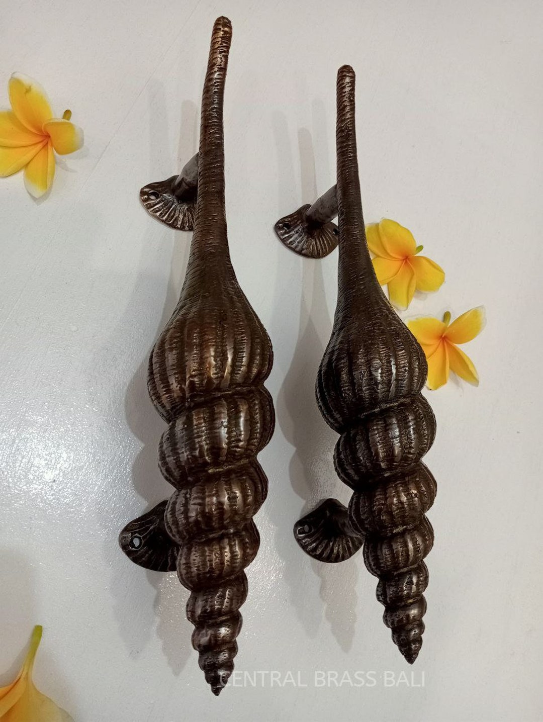 13.77''inch 2X Pcs Vintage SHELL Shape Curvy Seaside Brass, Shell Door ...