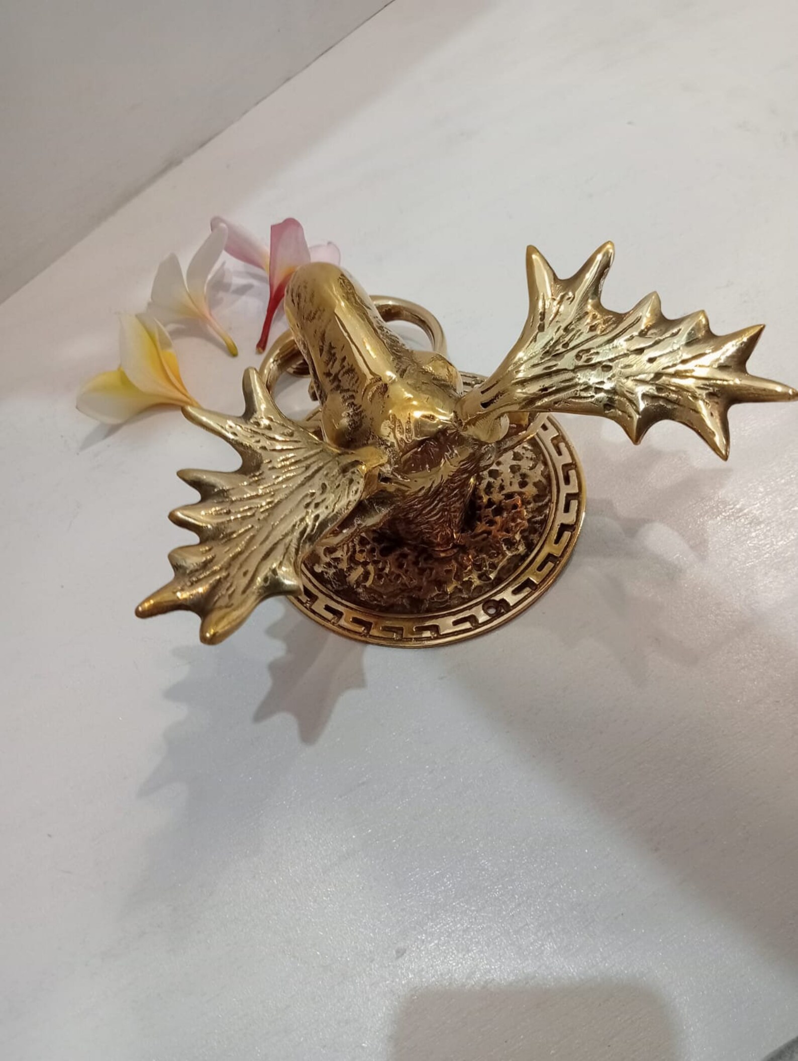 Large Brass Moose Door Knocker | Brass Gold Rustic Home Decor (7.87 ...