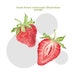 Watercolor Strawberry in PNG. Food Illustration. - Etsy