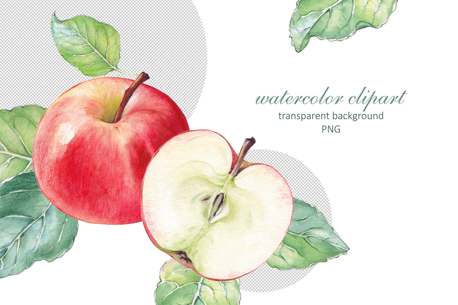 Watercolor Apples and Leaves Clipart, Autumn Fruit PNG, Food ...