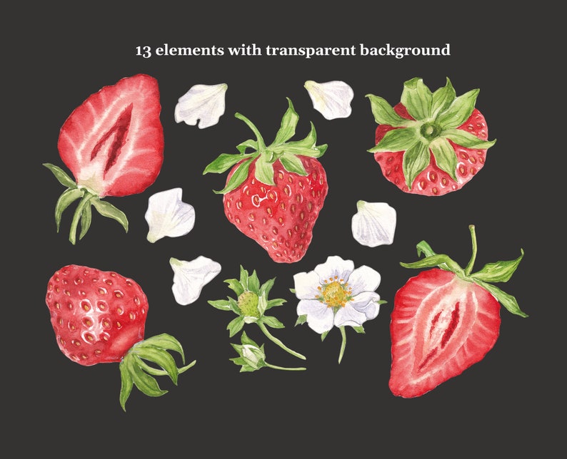 Watercolor Strawberry in PNG. Food Illustration. (Instant Download) - Etsy