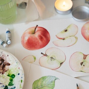 Watercolor Apples and Leaves Clipart, Autumn Fruit PNG, Food ...