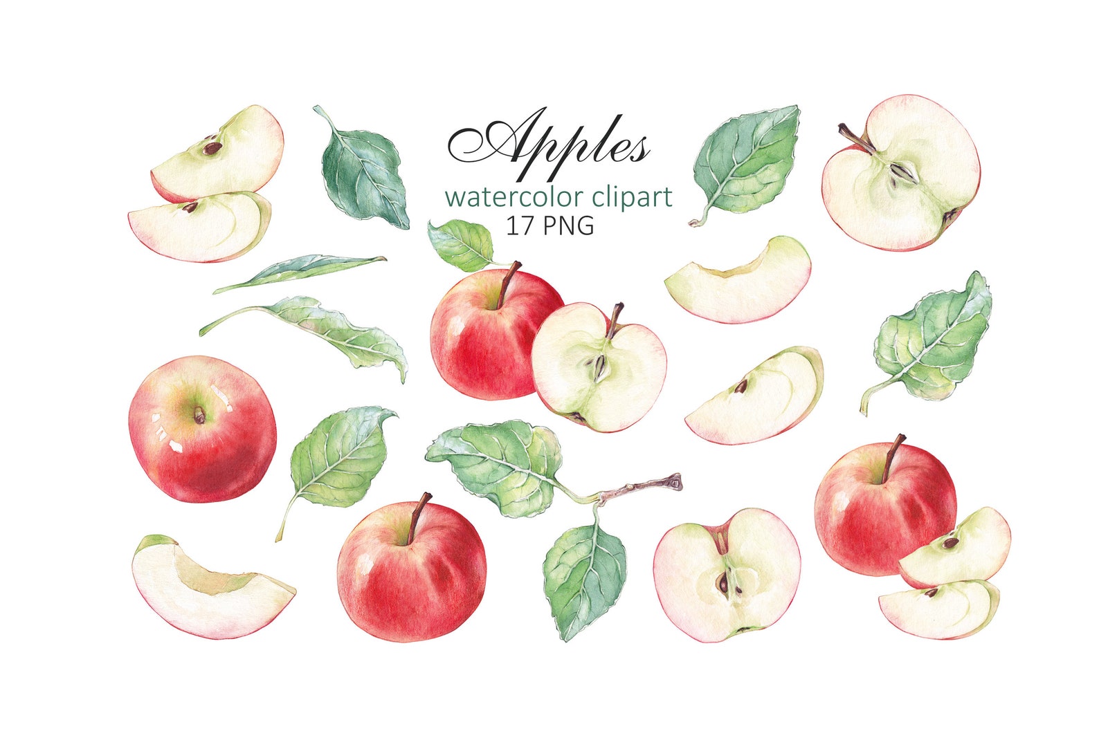 Watercolor Apples and Leaves Clipart, Autumn Fruit PNG, Food ...