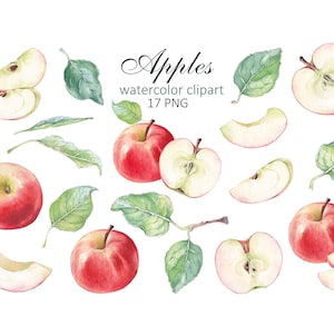 Watercolor Apples and Leaves Clipart, Autumn Fruit PNG, Food ...