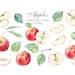 Watercolor Apples and Leaves Clipart, Autumn Fruit PNG, Food ...