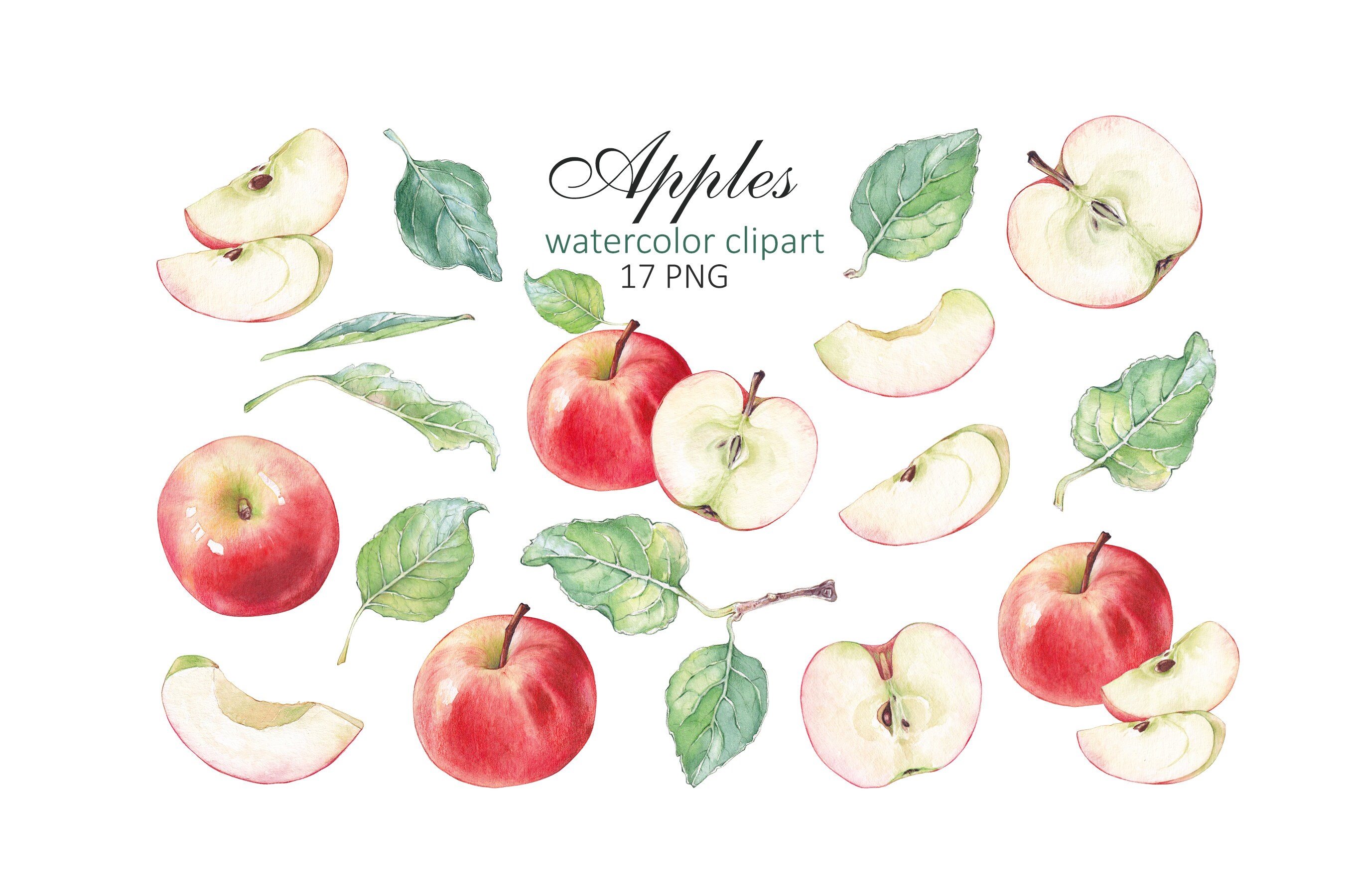 Watercolor Apples and Leaves Clipart, Autumn Fruit PNG, Food ...