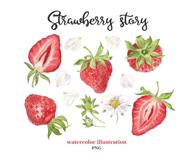 Watercolor Strawberry in PNG. Food Illustration. - Etsy