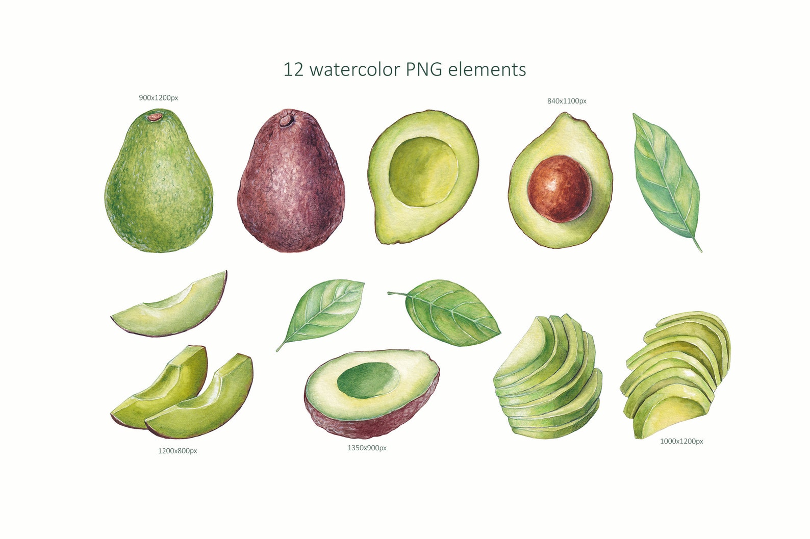 Watercolor Avocado Clipart. Digital Print in PNG - Etsy