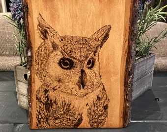 Wood Burning Art Owl - Etsy