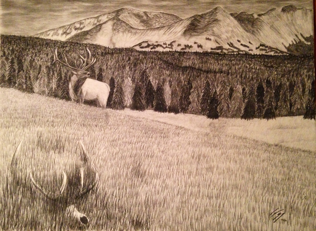 Elk Sketch Charcoal Hunting Drawing Bull Elk Fall / - Etsy