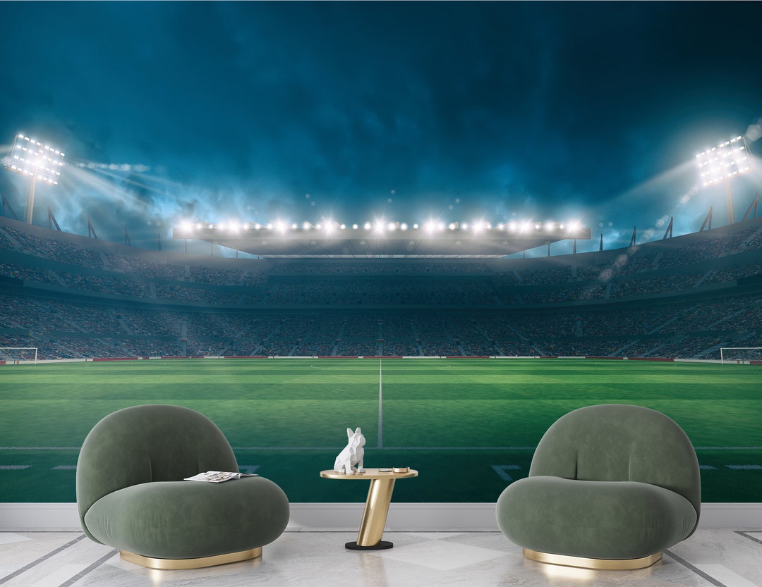 Football Stadium Murals Wallpaper at Ted Hayes blog